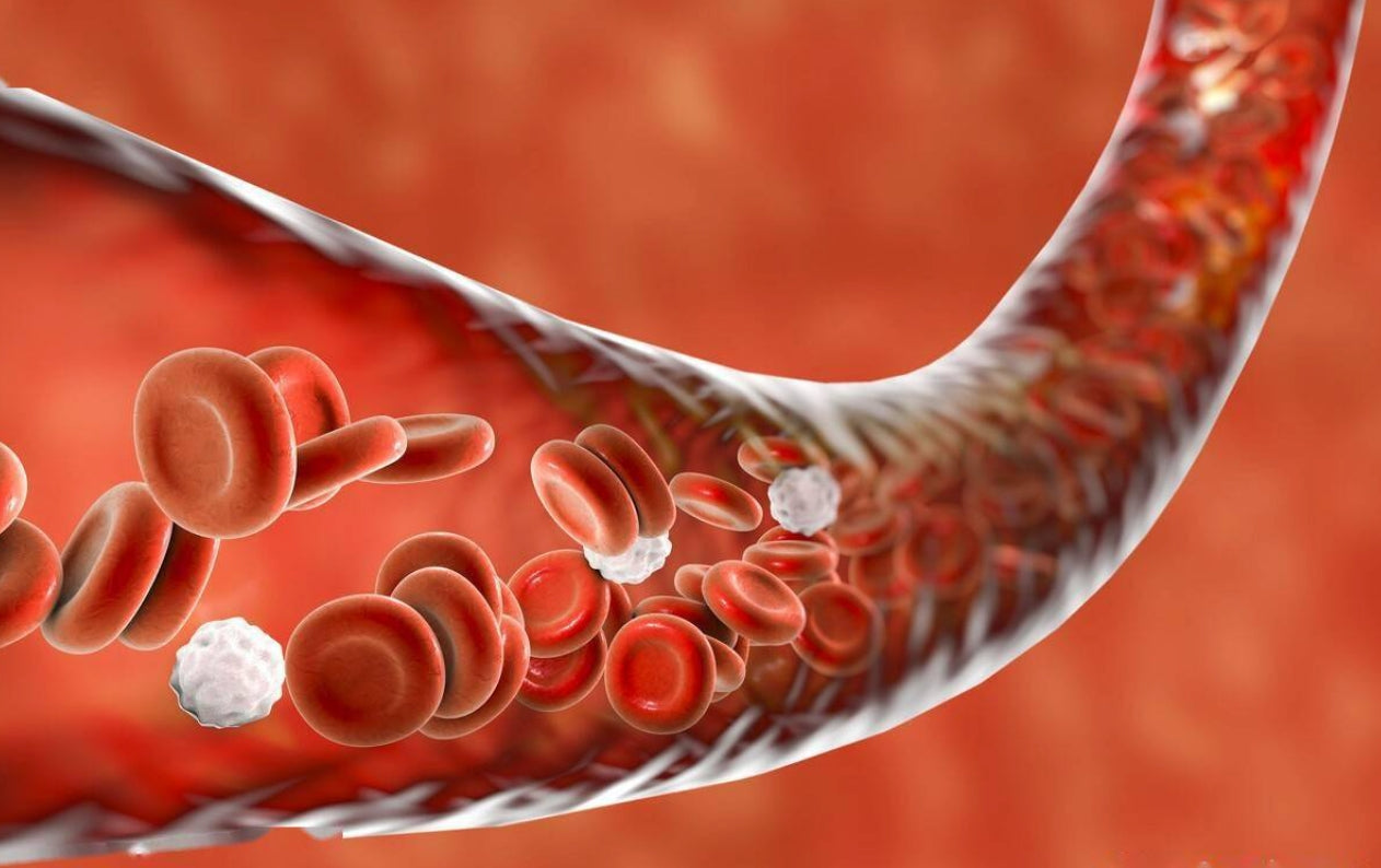 Pulsed Red Light Therapy: Beneficial or Bogus? – Megelin